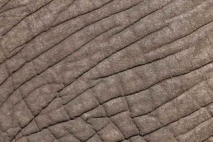 Cowboy Boot Leather: 11 Types and the Most Durable Option - From The ...