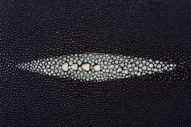 Cowboy Boot Leather: 11 Types and the Most Durable Option - From The ...