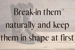 Do I Need To Treat My New Cowboy Boots? - From The Guest Room ...